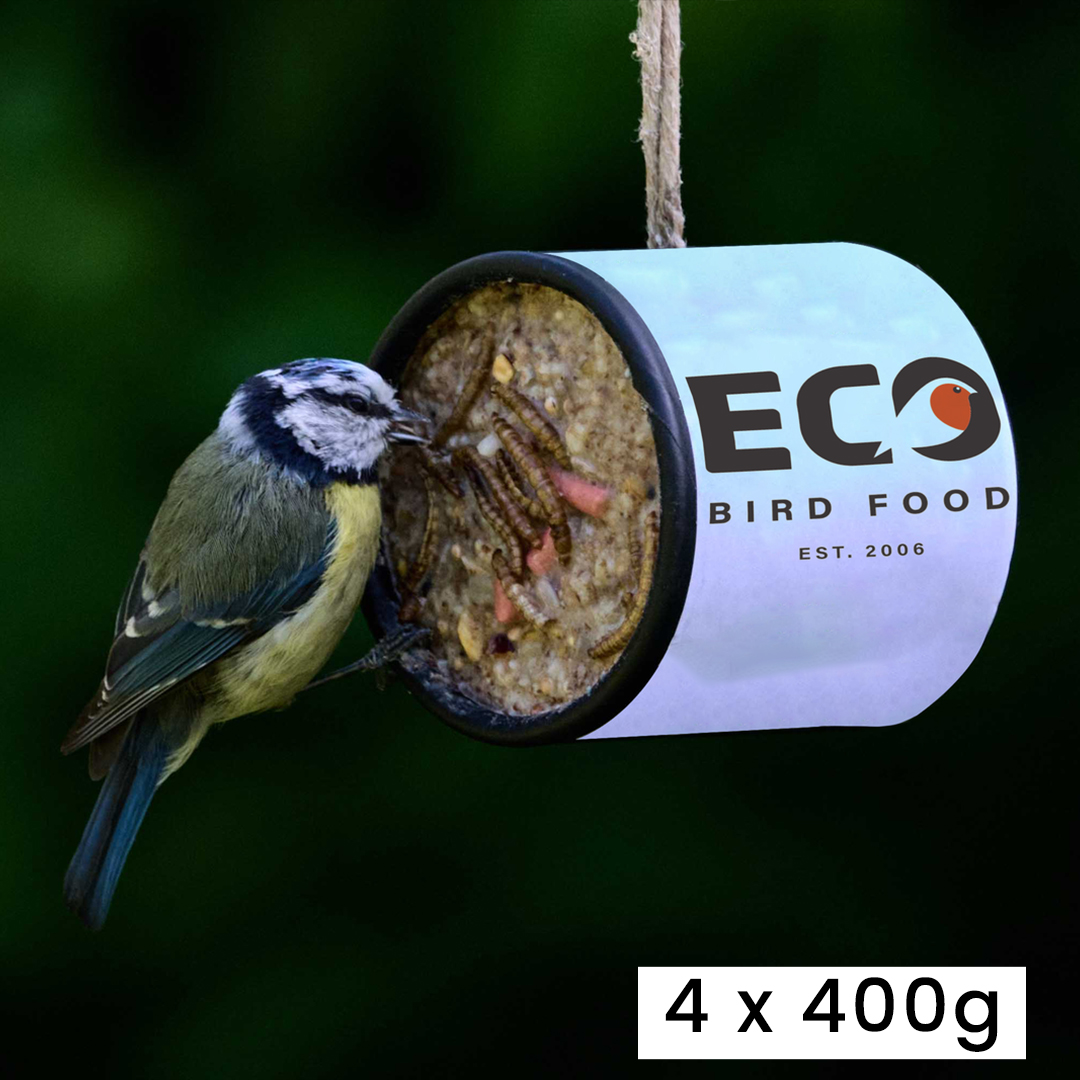 Premium Suet Bird Food for Wild Birds | EcoBirdFood
