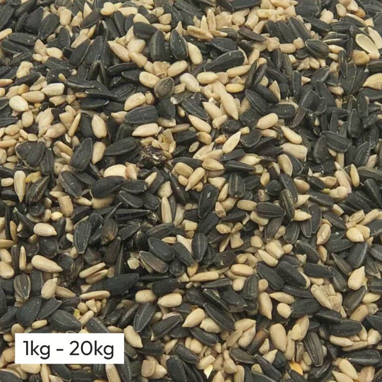 Your Source for the Best Bird Food - EcoBirdFood