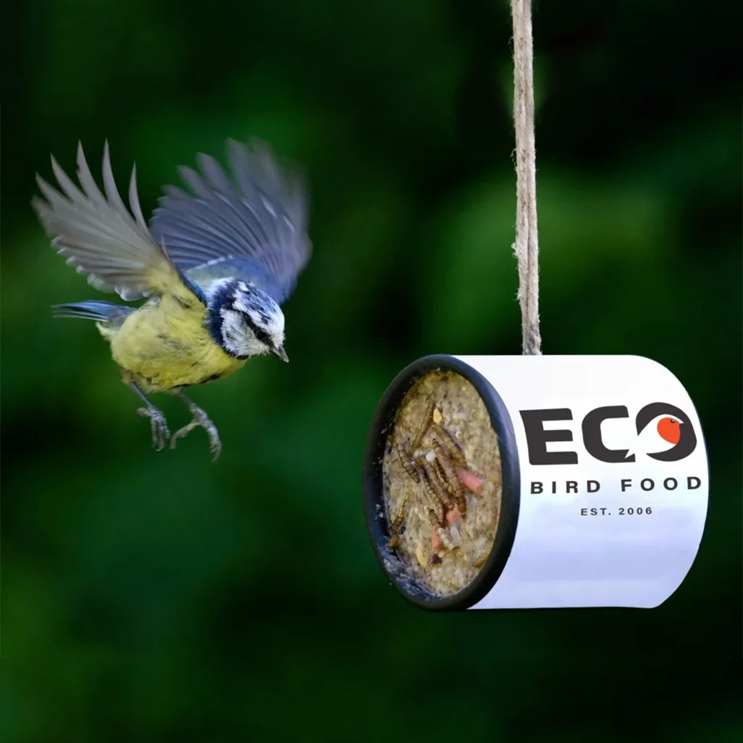 Eco Bird Food Subscription | Premium Feeds & Seeds