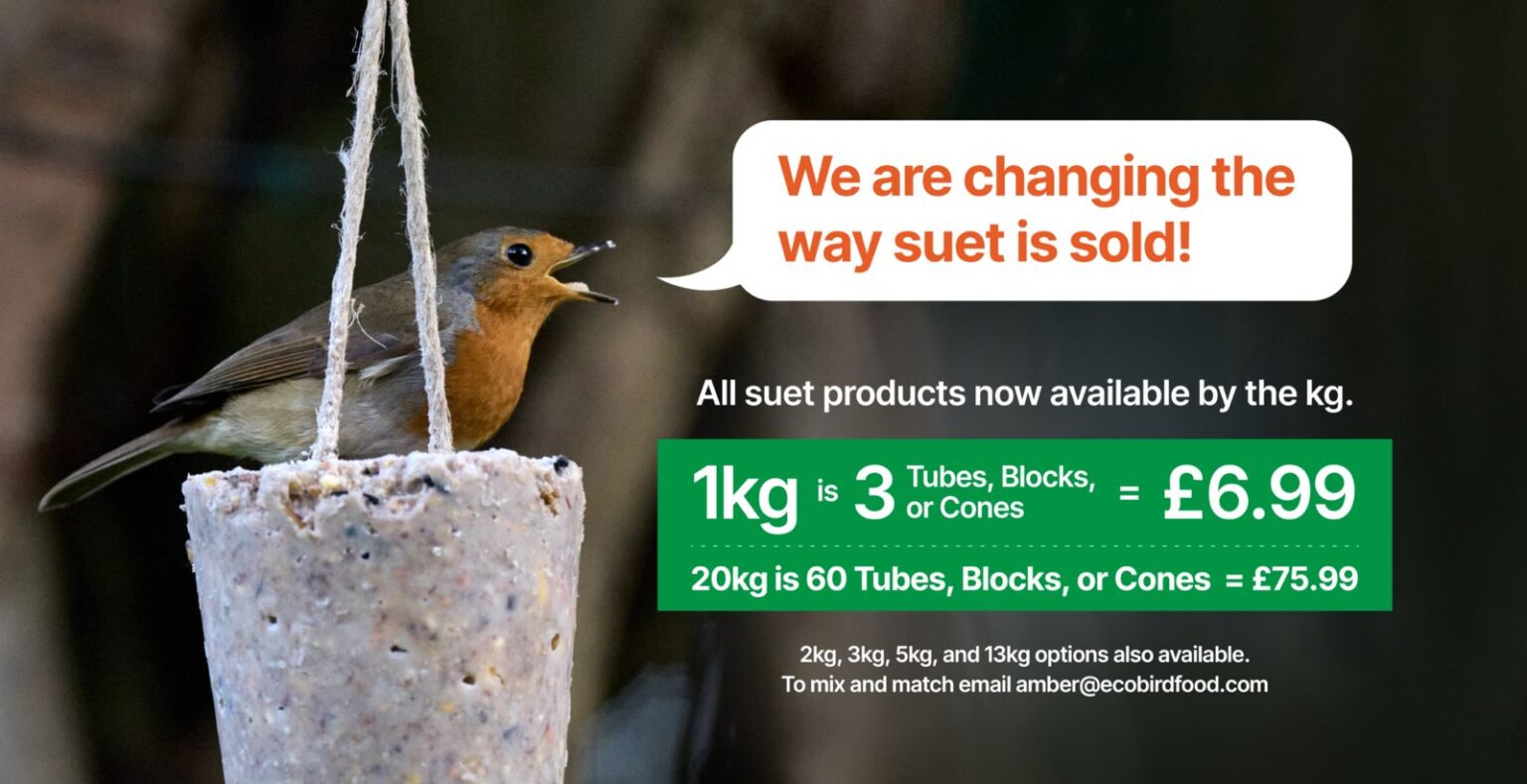 Eco Bird Food: Nurture Nature, One Bird At A Time.